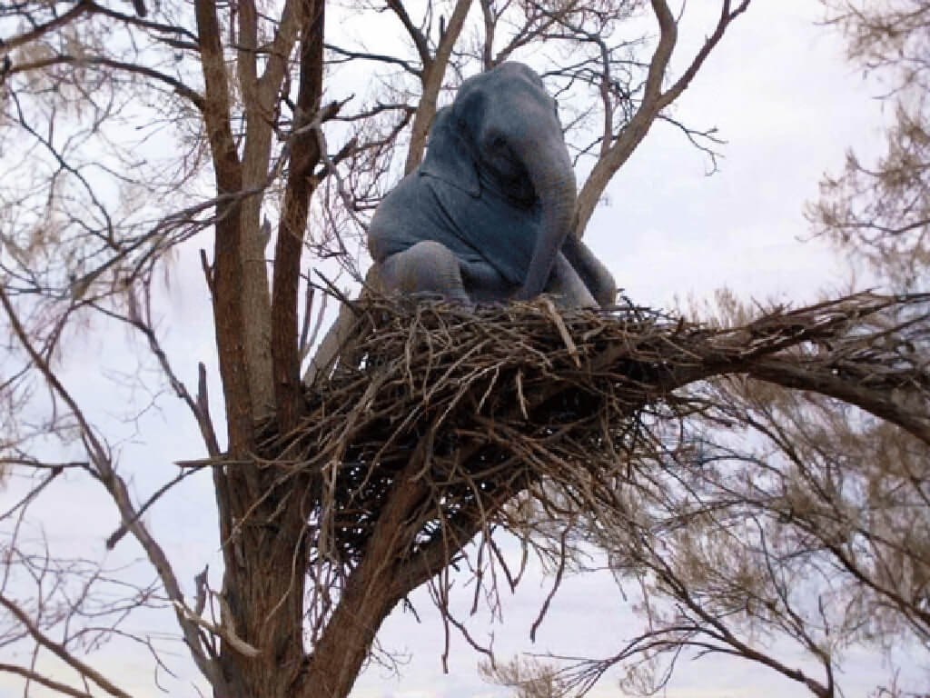 Baby Elephant Gets Stuck In Tree—Ranger Calls For Backup When He Finds ...
