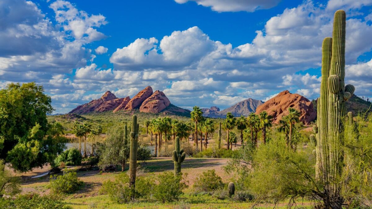 Travel Reveal | Discover Your Next Vacation Destination