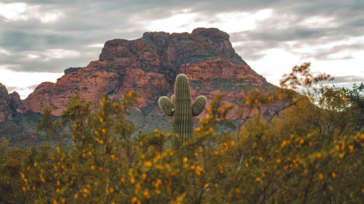 Top 5 Scenic Drives Near Phoenix | Travel Reveal