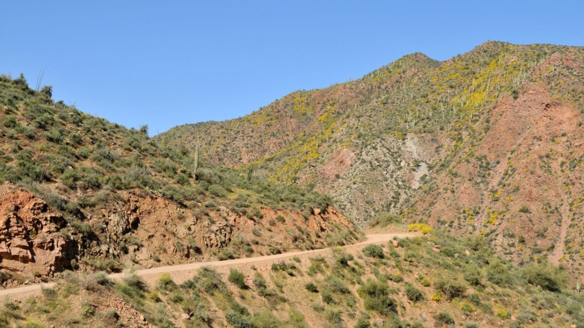 Top 5 Scenic Drives Near Phoenix | Travel Reveal