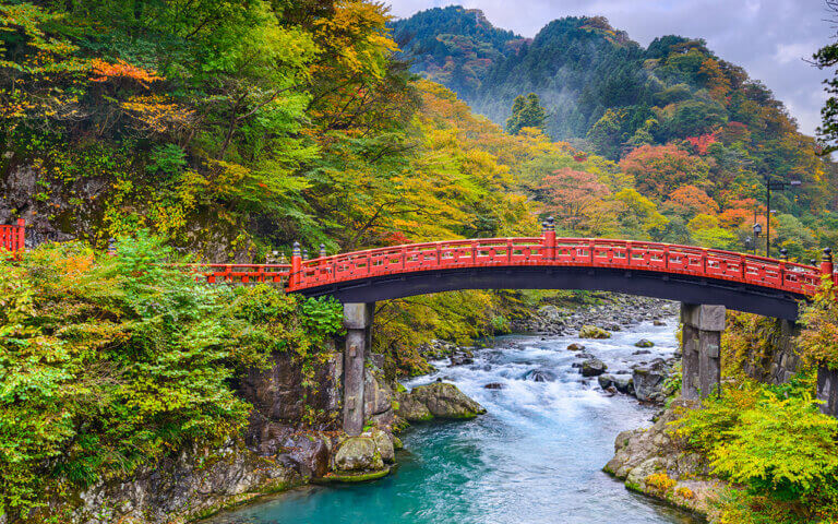 Discover Japan’s Must-See Spots | Travel Reveal