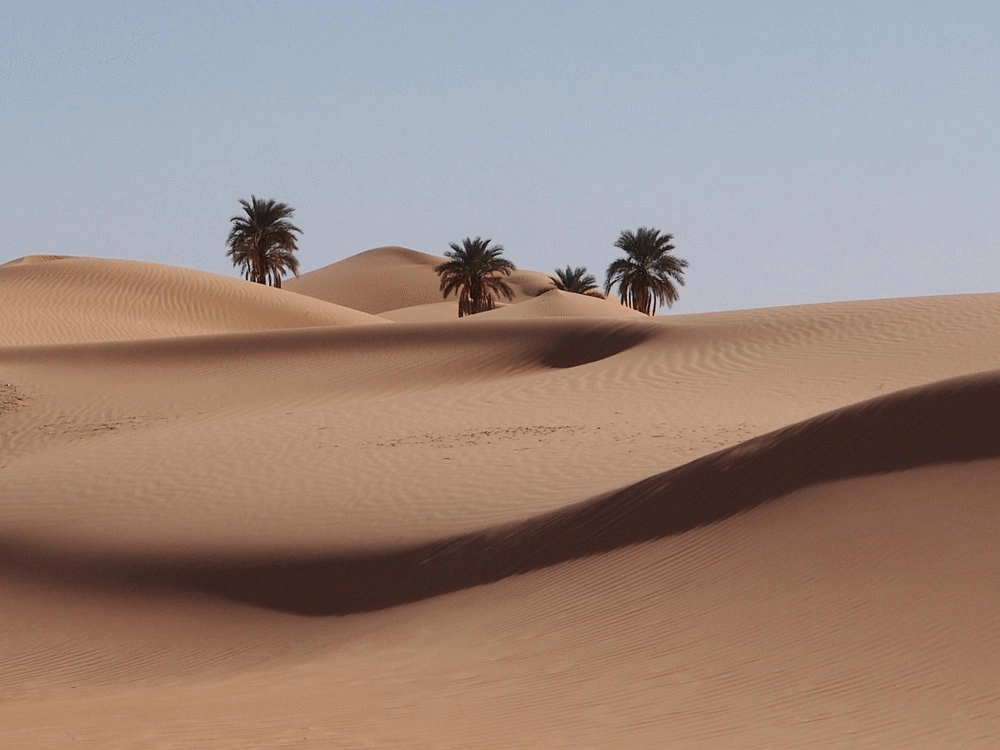 30 Desert Destinations That Redefine Adventure | Travel Reveal